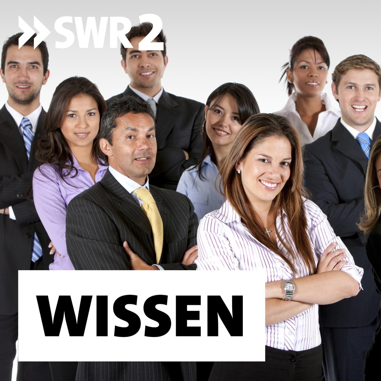 Das Wissen · Das Team als Chef - Mit New Work die Arbeitswelt neu ...
