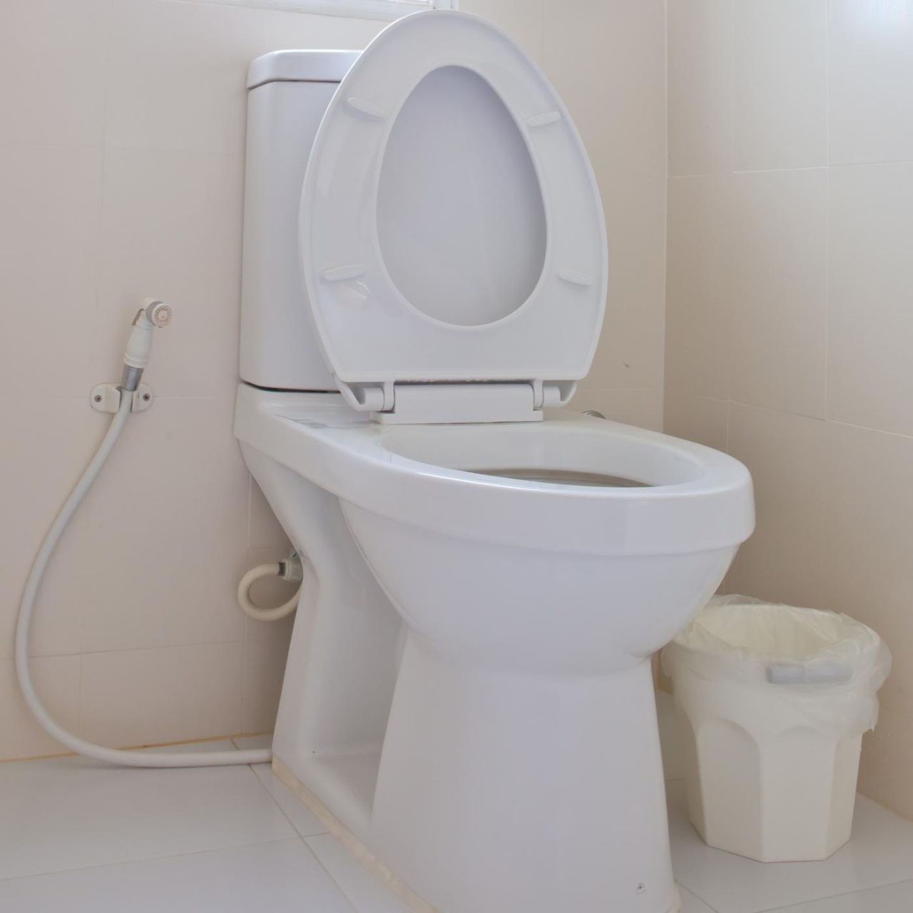 Alles Geschichte - Der History-Podcast · HYGIENE: Die Toilette ...