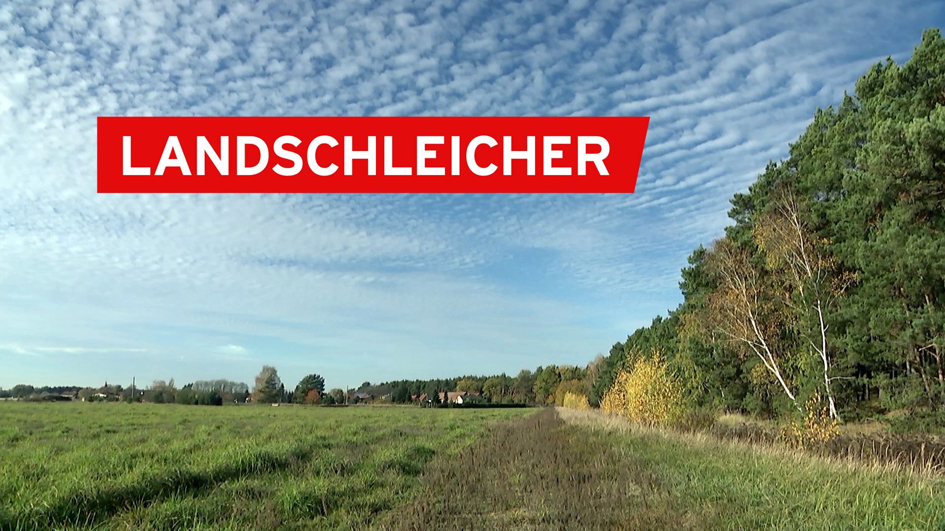 rbb24 Brandenburg aktuell: Schönefeld (Teltow-Fläming) | ARD Mediathek