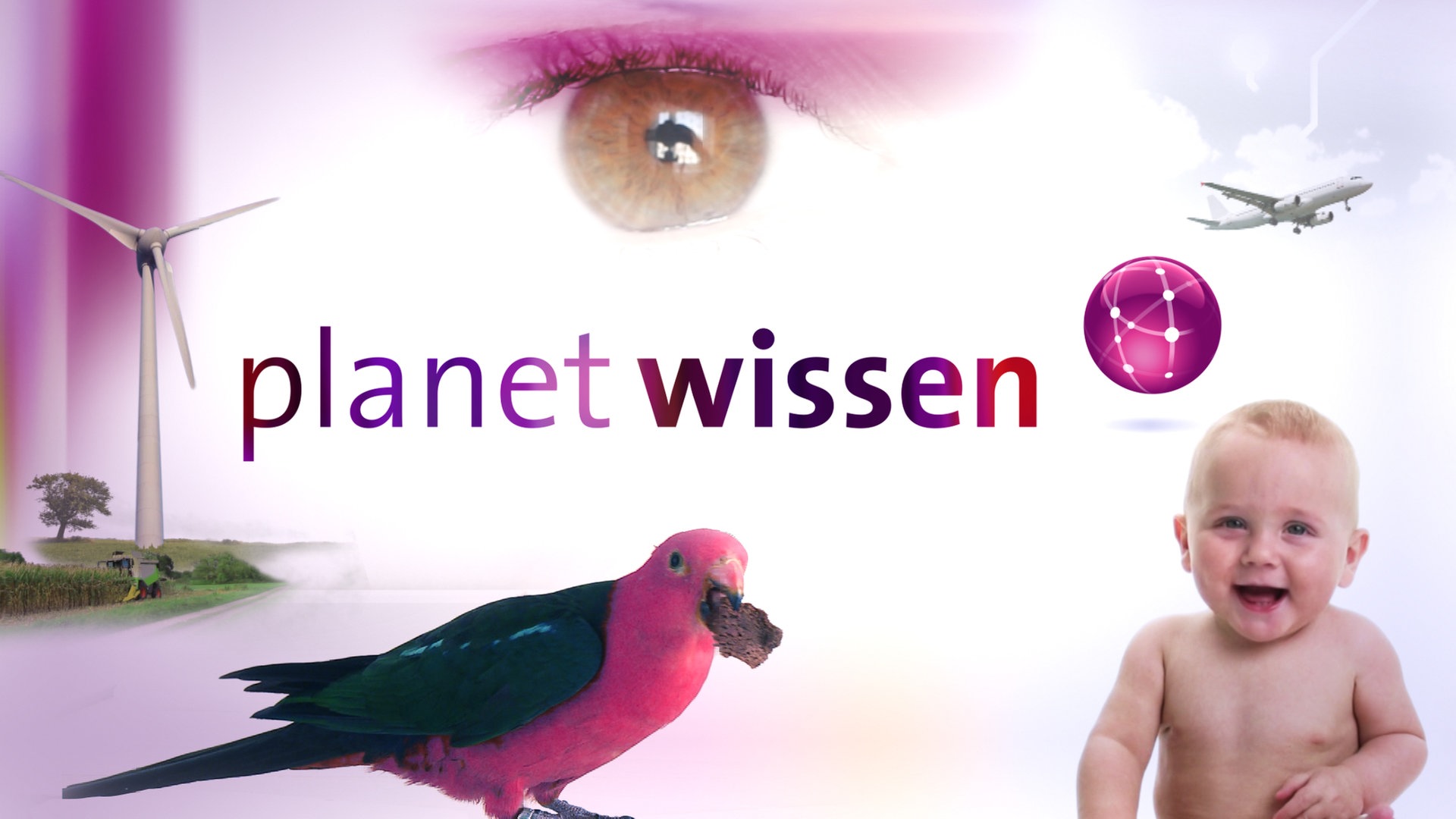 Planet Wissen - Videos der Sendung | ARD Mediathek