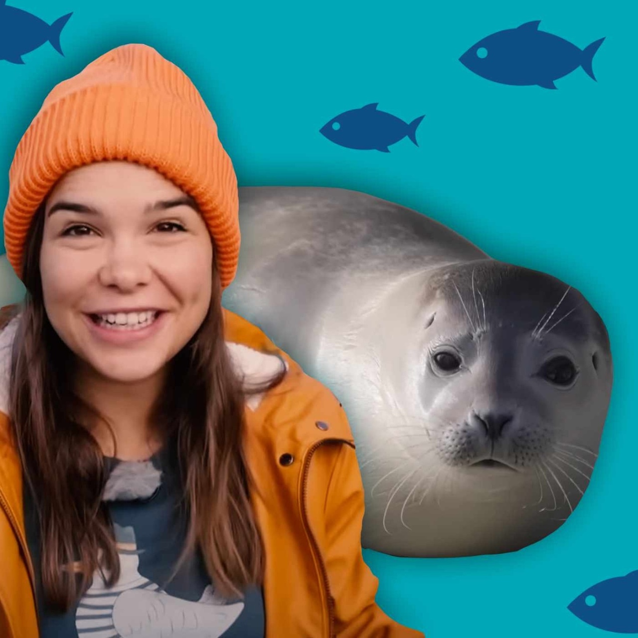 Anna und die wilden Tiere - der Podcast · Robben · Podcast in der ARD ... Anna und die wilden Tiere - der Podcast · Robben · Podcast in der ARD ...